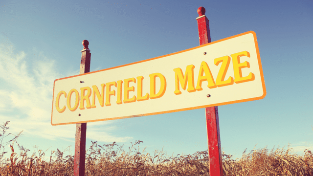 4 Best Fall and Winter Events for Custom Signs | Houston Sign Company